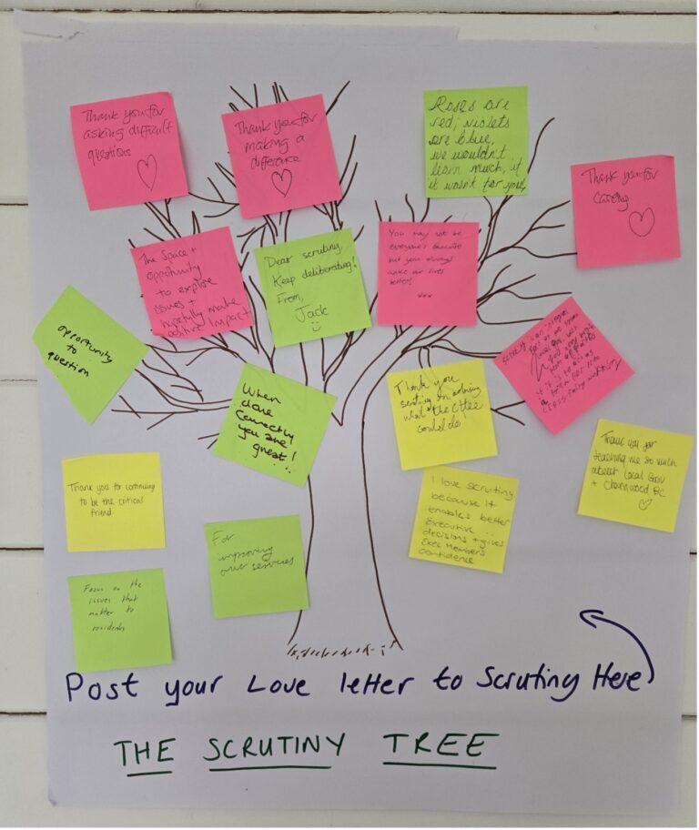What has scrutiny ever done for us? Sarah's ADSO workshop - CfGS