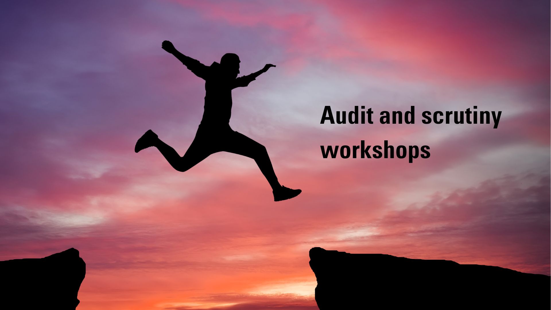 Audit and scrutiny workshops - CfGS